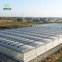 China Customized Multi-Span Film Greenhouse for Hydroponic Tomatoes/Cucumbers/Peppers/Strawberries for sale