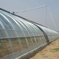 China Roofing Shape Arched Roof JX-Arch Green House for Tomato Strawberry Hydroponic Farming for sale