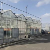 China Single Layer Glass Greenhouse for Horticulture Customized to Your Requirements for sale