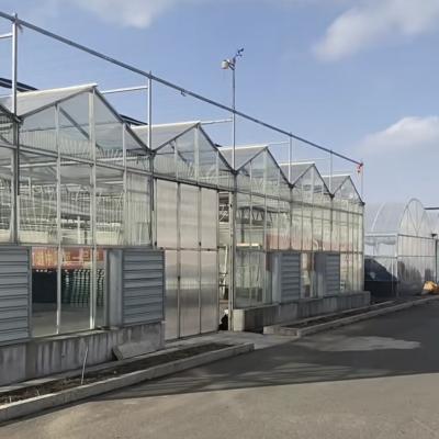 China Single Layer Glass Greenhouse for Horticulture Customized to Your Requirements for sale