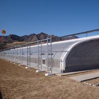 China Continuous Heating Saw Tooth Roof PE/Pep Film Greenhouse with 0.2mm Film Thinckness for sale