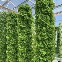China Chinese Origin Glass Greenhouse Canopy for Flowers 30-Day Return 100.000kg Gross Weight for sale