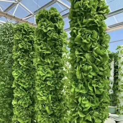 China Chinese Origin Glass Greenhouse Canopy for Flowers 30-Day Return 100.000kg Gross Weight for sale