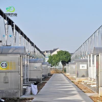 China 8m 9.6m 12m Customized Span Film Plastic Agriculture with Hydroponics Growing System for sale