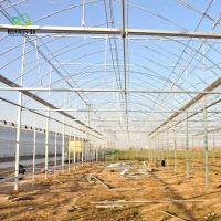 China 8m 9.6m 12m Customized Span Film Plastic Agriculture with Hydroponics Growing System for sale