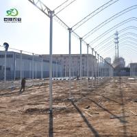 China 8m 9.6m 12m Customized Span Film Plastic Agriculture with Hydroponics Growing System for sale