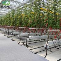 China Aluminum Frame Glass Garden Greenhouse Victorian Commercial Greenhouse for Vegetables for sale