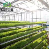 China Aluminum Frame Glass Garden Greenhouse Victorian Commercial Greenhouse for Vegetables for sale