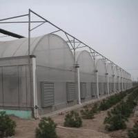 China Hydroponics Irrigation System for Strawberry/Flowers/Vegetables Multi-Span Frame Steel Galvanized Plastic Greenhouse for sale