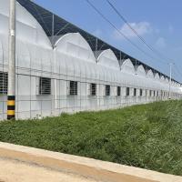 China Hydroponics Irrigation System for Strawberry/Flowers/Vegetables Multi-Span Frame Steel Galvanized Plastic Greenhouse for sale