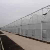 China Hydroponics Irrigation System for Strawberry/Flowers/Vegetables Multi-Span Frame Steel Galvanized Plastic Greenhouse for sale