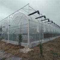 China Hydroponics Irrigation System for Strawberry/Flowers/Vegetables Multi-Span Frame Steel Galvanized Plastic Greenhouse for sale