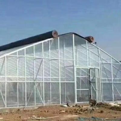 China Hot-DIP Galvanized Steel Pipe Structure Multi-Span Greenhouse for Hydroponic System and Various Crops for sale