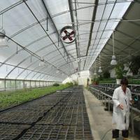 China Hot-DIP Galvanized Steel Pipe Structure Multi-Span Greenhouse for Hydroponic System and Various Crops for sale