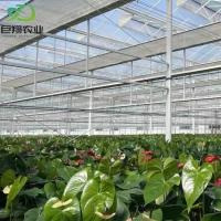China Sunlight Greenhouse Multispan Hydroponics Plastic Film Greenhouse for Commercial Farm for sale
