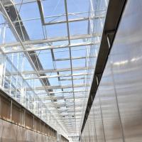 China Sunlight Greenhouse Multispan Hydroponics Plastic Film Greenhouse for Commercial Farm for sale