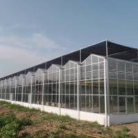 China Sunlight Greenhouse Multispan Hydroponics Plastic Film Greenhouse for Commercial Farm for sale