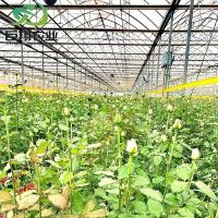 China Multispan Hydroponics Plastic Film Agricultural Greenhouse for Commercial Farm Made for sale