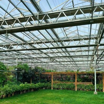 China JX-A00126 Single Layer Glass Greenhouse for Sustainable Growth 100.000kg Gross Weight for sale