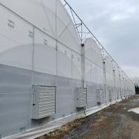China Arched Roof Multispan Hydroponics Plastic Film Agricultural Greenhouse for Commercial Farm for sale