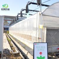 China Arched Roof Multispan Hydroponics Plastic Film Agricultural Greenhouse for Commercial Farm for sale