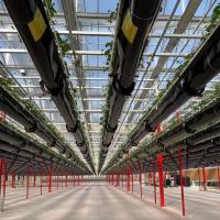 China Building Materials Steel Structure Large Size Horticulture Greenhouse with Glass Roof for sale