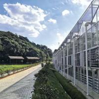 China Vibrant Garden with Glass Greenhouse Affordable Shipping Cost and Greenhouse for sale