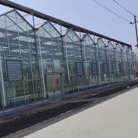 China Vibrant Garden with Glass Greenhouse Affordable Shipping Cost and Greenhouse for sale