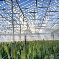 China Multi Span Glass Greenhouse for Plant Growth Package Size 50.00cm * 60.00cm * 80.00cm for sale