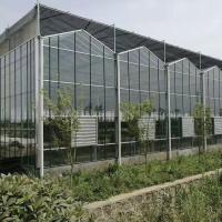 China Multi Span Glass Greenhouse for Plant Growth Package Size 50.00cm * 60.00cm * 80.00cm for sale