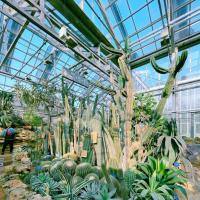 China JX-A00133 Blossom Haven with Glass Greenhouse Shipping Cost and Estimated Delivery Time for sale