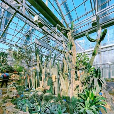 China JX-A00133 Blossom Haven with Glass Greenhouse Shipping Cost and Estimated Delivery Time for sale