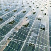 China Competitive Initial Payment Greenhouse for Botanical Oasis Enclosure a Type Roof for sale