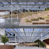 China Hollow Roof Hydroponic Greenhouse for Flower Cultivation Shipping Cost and Samples for sale