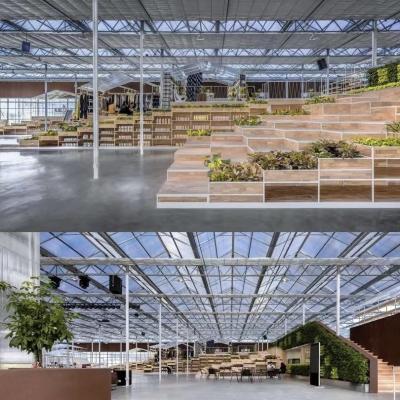 China Double Layer Hydroponic Greenhouse for Flower Growing Package Gross Weight 100.000kg for sale