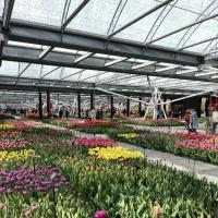 China 100.000kg Package Gross Weight Glass Greenhouse for Hydroponic Flower Cultivation for sale