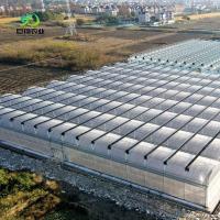 China Multi-Span/Single Span Greenhouse for Tomato Strawberry Plastic Film/Glass/Polycarbonate for sale