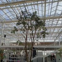 China Get a Type Roof Hollow Glass Greenhouse for Flower Cultivation Return refunds Offered for sale