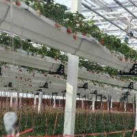 China Durable Steel Structure Glass Greenhouse for Hydroponic Flower Growing JX-A00264 for sale