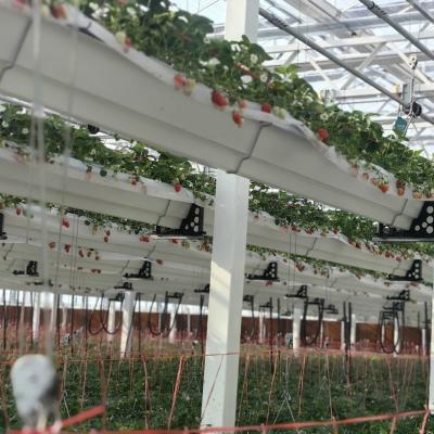China Durable Steel Structure Glass Greenhouse for Hydroponic Flower Growing JX-A00264 for sale