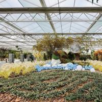 China Durable Steel Structure Glass Greenhouse for Hydroponic Flower Growing JX-A00264 for sale