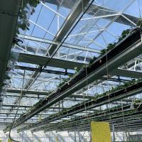 China Large Chinese Origin Glass Greenhouse for Flower Growing Package Gross Weight 100.000kg for sale