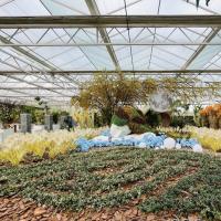 China 100.000kg Package Gross Weight Multi Span Glass Greenhouse for Flower Cultivation for sale