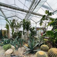 China 100.000kg Package Gross Weight Multi Span Glass Greenhouse for Flower Cultivation for sale