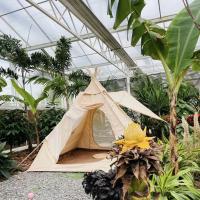 China Transform Your Flower Growing Business with Single Layer Hydroponic Glass Greenhouse for sale