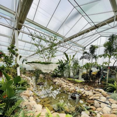 China Hydroponic Flower System in Steel Structure Float Glass Greenhouse with Customization for sale