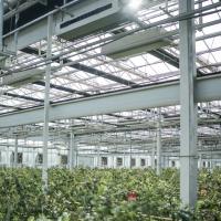 China Large Steel Structure Drip Irrigation Glass Greenhouse for Flowers and Vegetables for sale