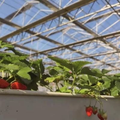 China Hydroponic Flower System A-Type Roof Glass Greenhouse for Large Commercial Production for sale