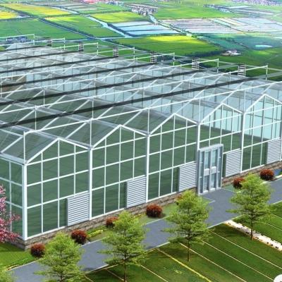 China Double Layer Glass Greenhouse Hydroponics System for Flower Cultivation 30 Day Refund for sale