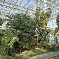 China Roofing Shape a Type Roof Greenhouse for Shading Screen Glass Flower Cultivation for sale